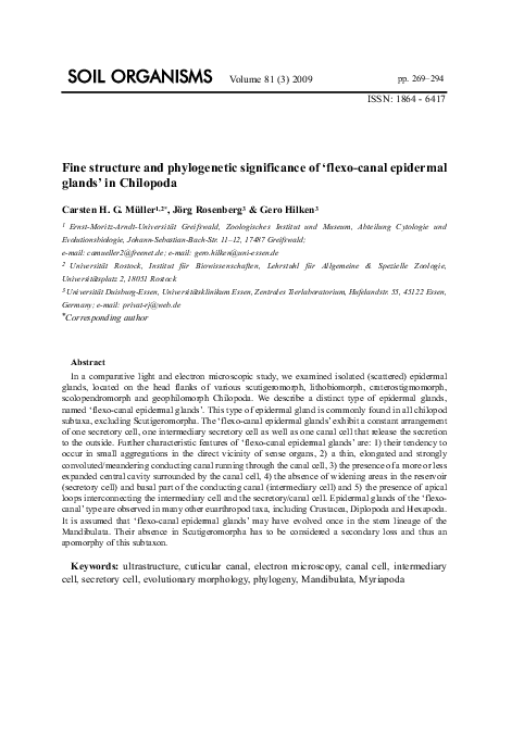 (PDF) Fine structure and phylogenetic significance of a muscular basal ...