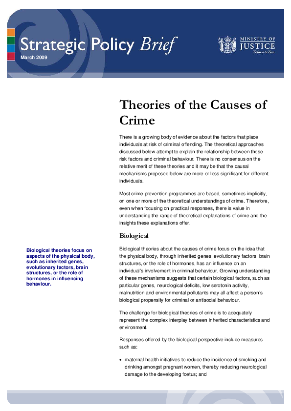 (PDF) Theories of the Causes of Crime