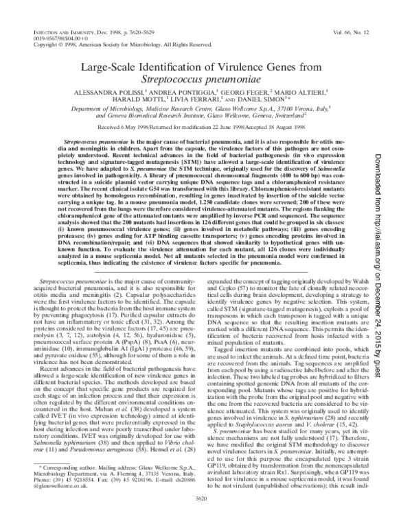 (PDF) Large-Scale Identification of Virulence Genes from Streptococcus ...