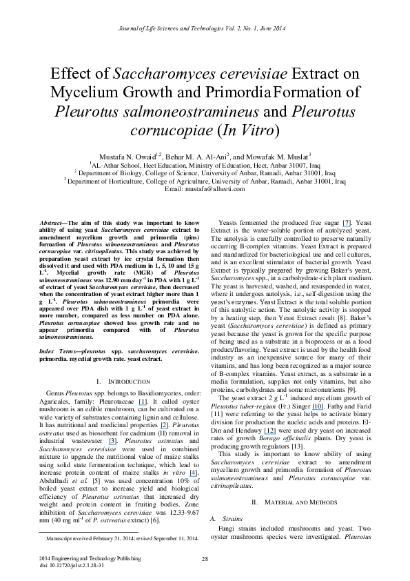 saccharomyces cerevisiae