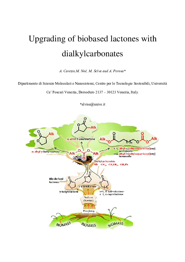 (PDF) Upgrading of Biobased Lactones with Dialkylcarbonates