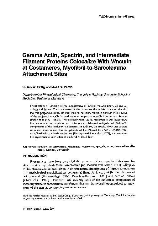 (PDF) Gamma actin, spectrin, and intermediate filament proteins ...