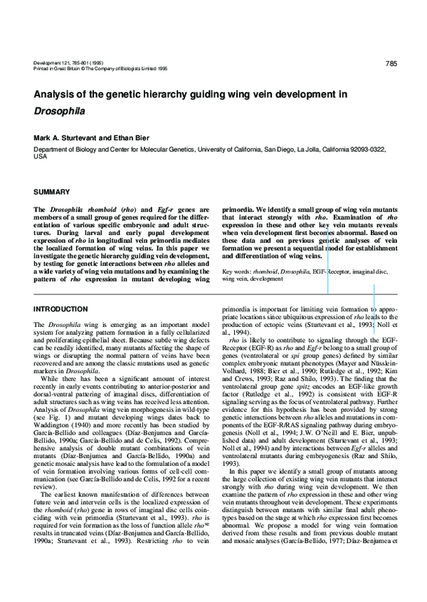 (PDF) brinkerandoptomotor-blindact coordinately to initiate development ...