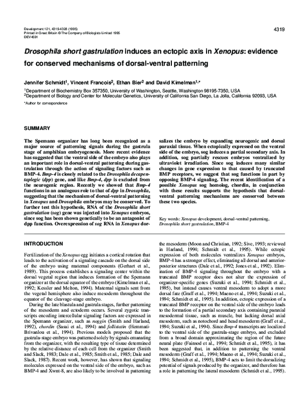 (PDF) Schmidt, J., Francois, V., Bier, E. & Kimelman, D. Drosophila ...