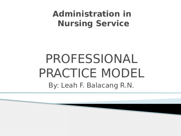 (PPT) Professional Practice Model