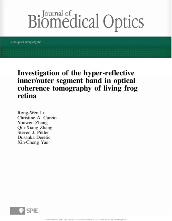(PDF) Investigation of the hyper-reflective inner/outer segment band in ...