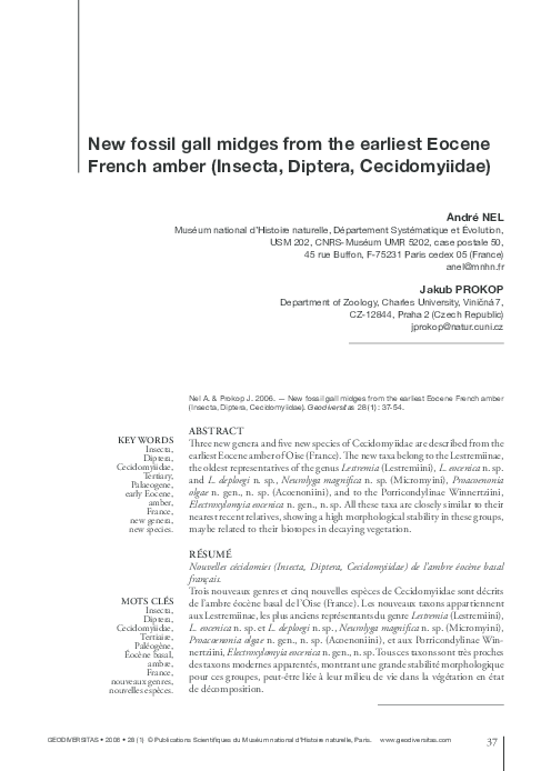 (PDF) New fossil gall midges from the earliest Eocene French amber ...