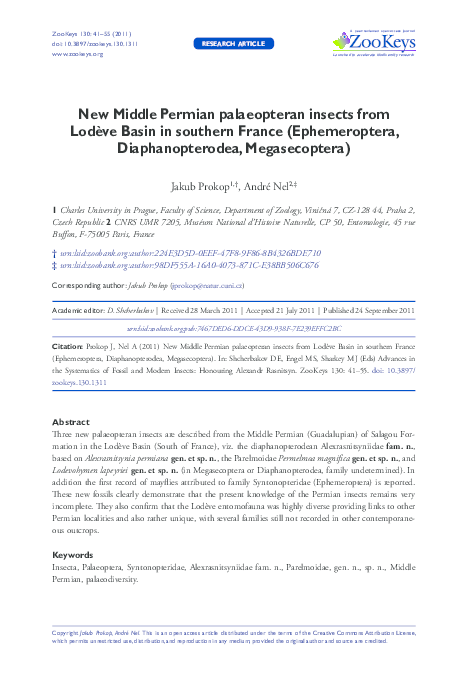 (PDF) New Middle Permian palaeopteran insects from Lodève Basin in ...