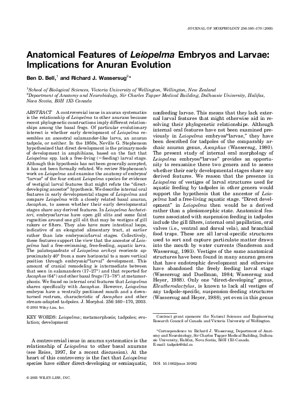 (PDF) Anatomical features ofLeiopelma embryos and larvae: Implications ...