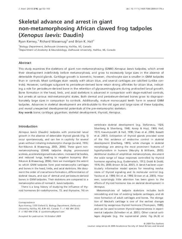 (PDF) Skeletal advance and arrest in giant non-metamorphosing African ...