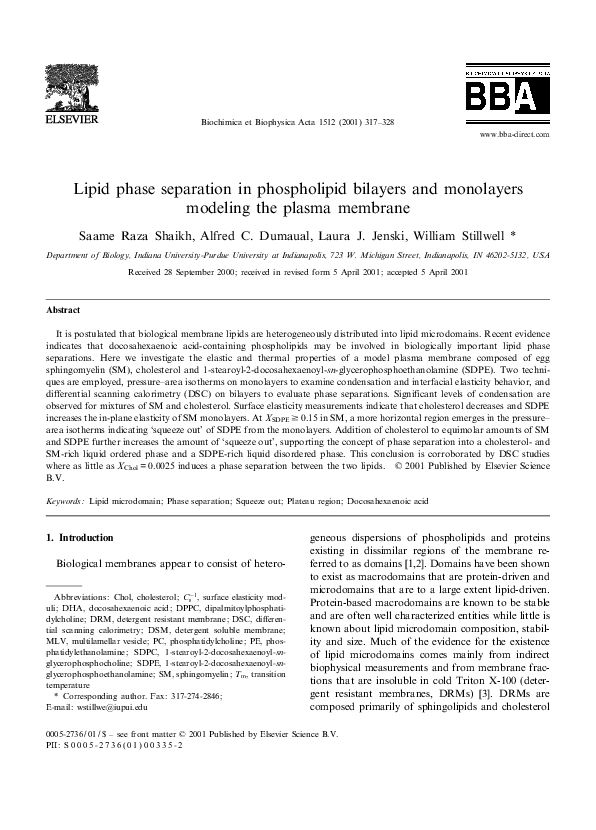 (PDF) Lipid phase separation in phospholipid bilayers and monolayers ...