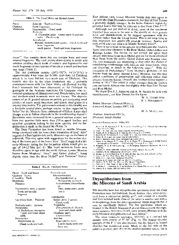 (PDF) Dryopithecines from the Miocene of Saudi Arabia