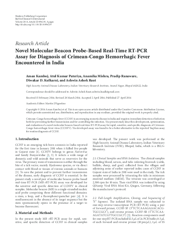 Pdf Novel Molecular Beacon Probe Based Real Time Rt Pcr Assay For Diagnosis Of Crimean Congo