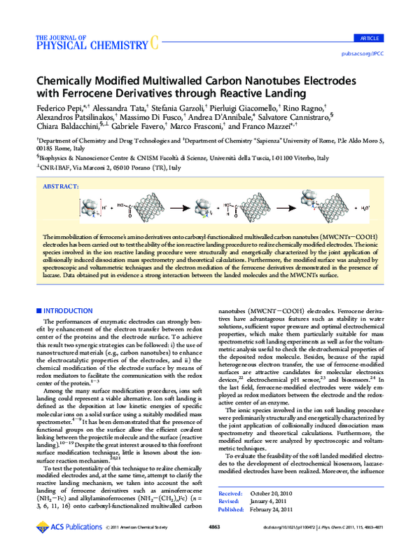 (PDF) Chemically Modified Multiwalled Carbon Nanotubes Electrodes with Ferrocene Derivatives ...