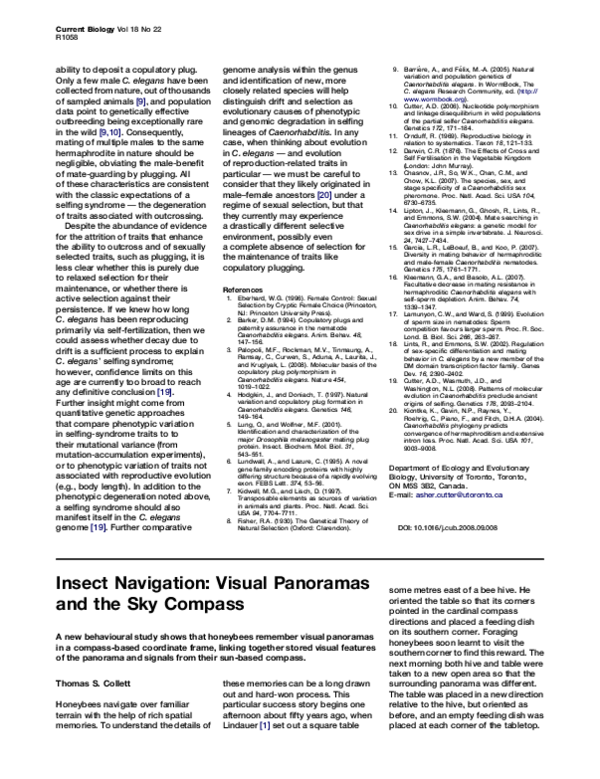 (PDF) Insect Navigation: Visual Panoramas and the Sky Compass | Thomas ...