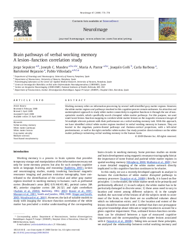 (PDF) Brain pathways of verbal working memory: a lesion-function correlation study
