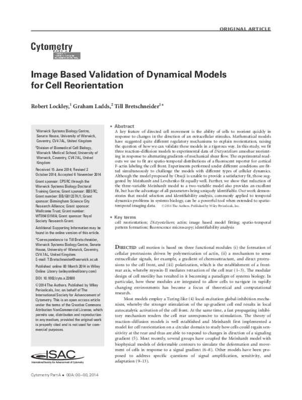 (PDF) Image based validation of dynamical models for cell reorientation