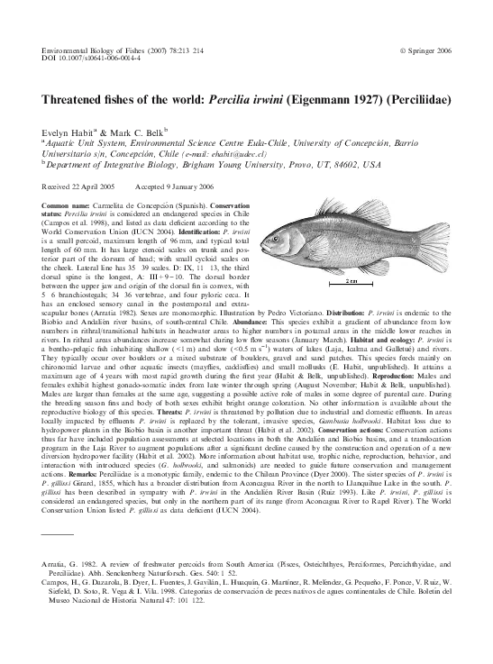 (PDF) Threatened fishes of the world: Percilia irwini (Eigenmann 1927 ...