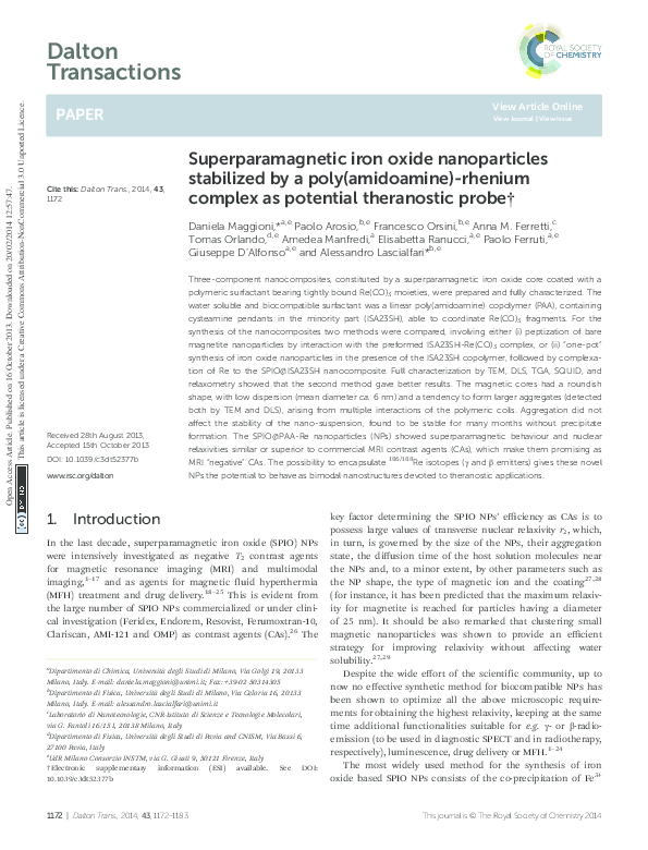 (PDF) Superparamagnetic iron oxide nanoparticles: synthesis, surface ...