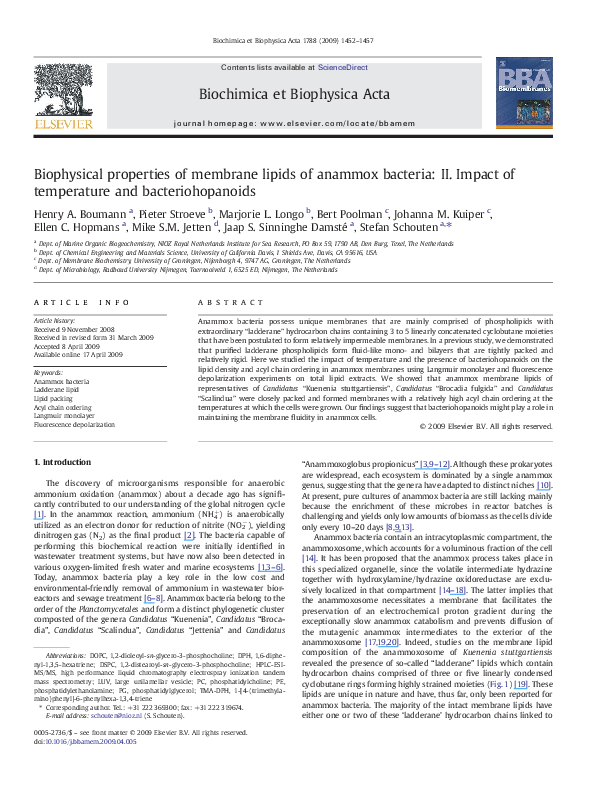 (PDF) Biophysical properties of membrane lipids of anammox bacteria: I ...