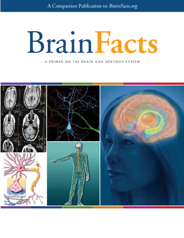(PDF) Brain Facts book