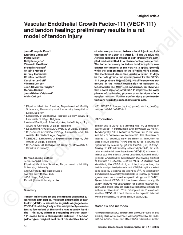 (PDF) Vascular Endothelial Growth Factor-111 (VEGF-111) and tendon ...