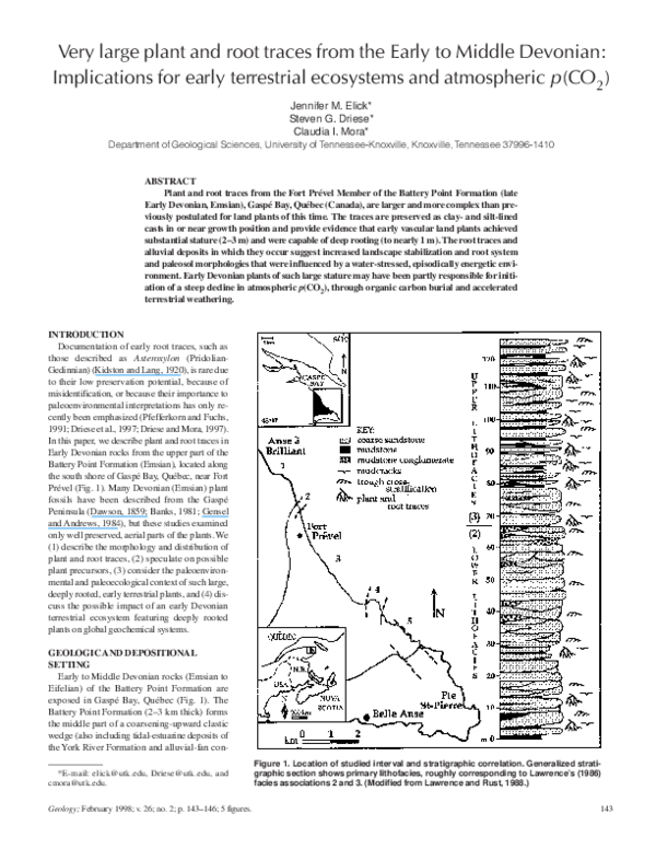 (PDF) Very large plant and root traces from the Early to Middle ...