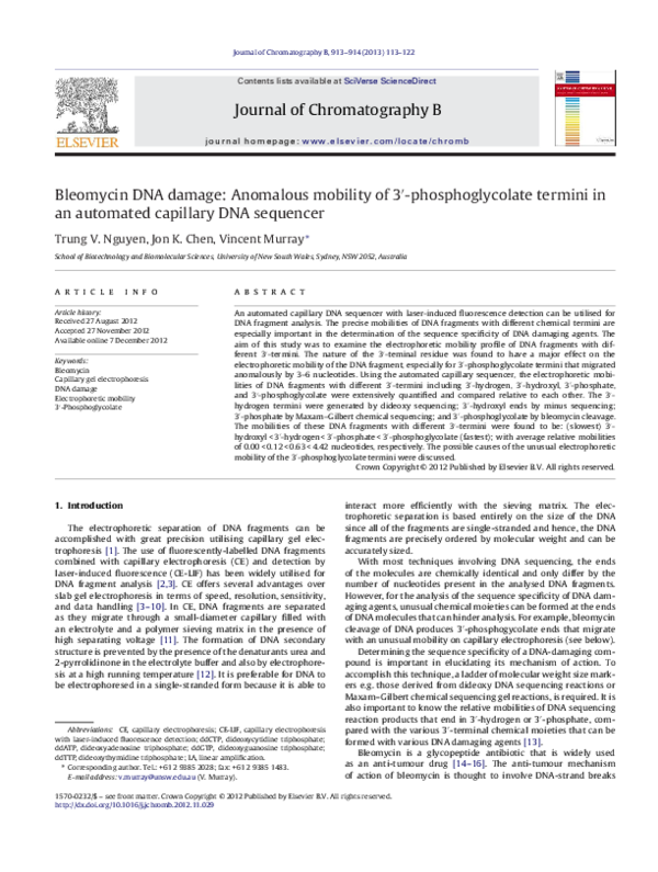 (PDF) Bleomycin DNA damage: Anomalous mobility of 3′-phosphoglycolate ...