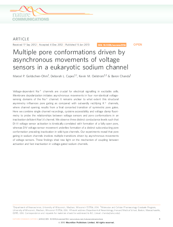 (PDF) Asynchronous Movements in Naþ Channel Pores