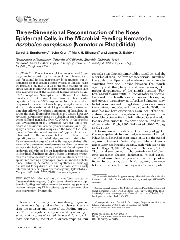 (PDF) Three-dimensional reconstruction of the nose epidermal cells in ...