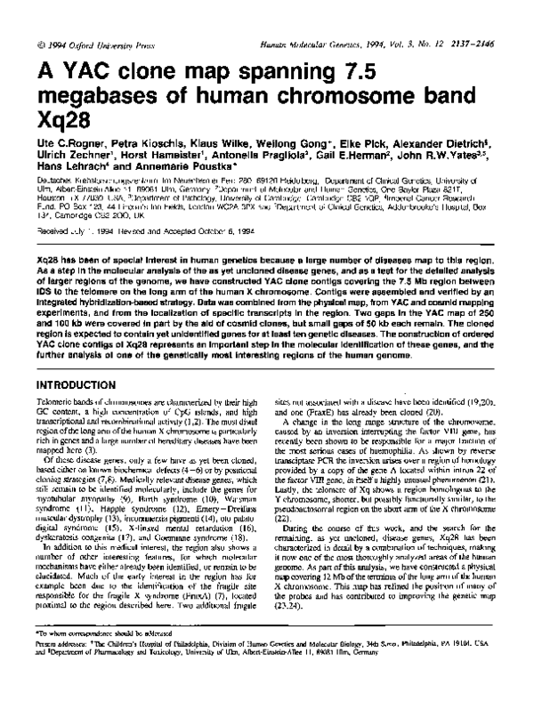 (PDF) A YAC clone map spanning 7.5 megabases of human chromosome band Xq28