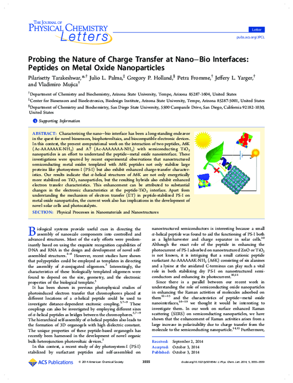 (PDF) Probing the Nature of Charge Transfer at Nano–Bio Interfaces ...