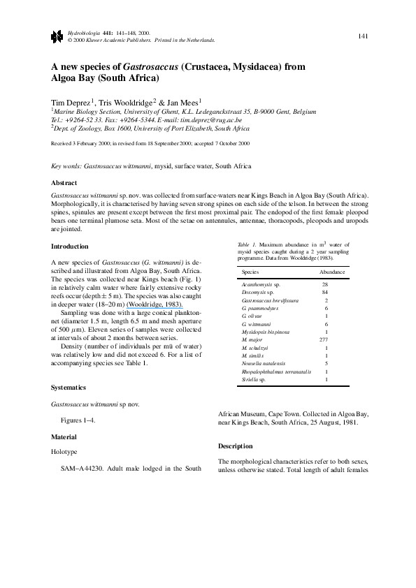 (PDF) A new species of Gastrosaccus (Crustacea, Mysidacea) from beaches ...