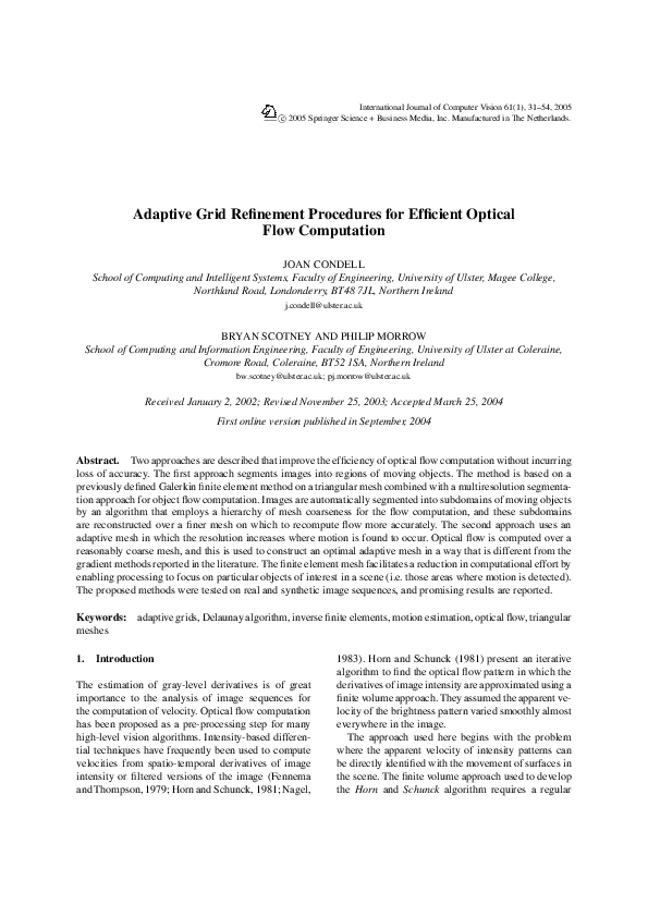 (PDF) Adaptive Grid Refinement Procedures for Efficient Optical Flow Computation