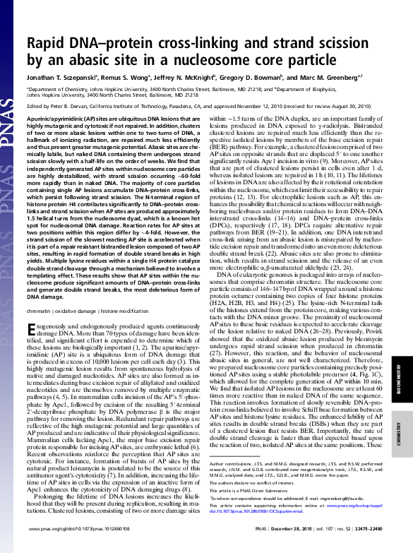 (PDF) Rapid DNA-protein cross-linking and strand scission by an abasic ...
