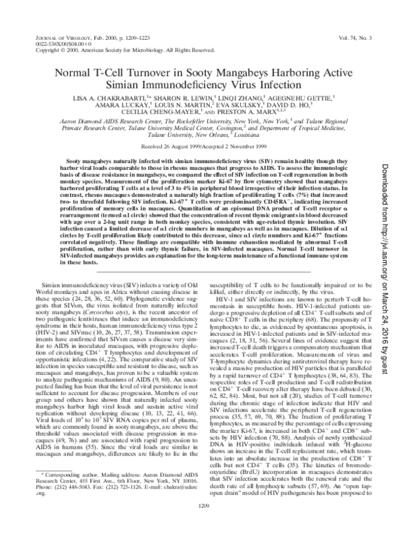 (PDF) Normal T-cell turnover in sooty mangabeys harboring active simian ...
