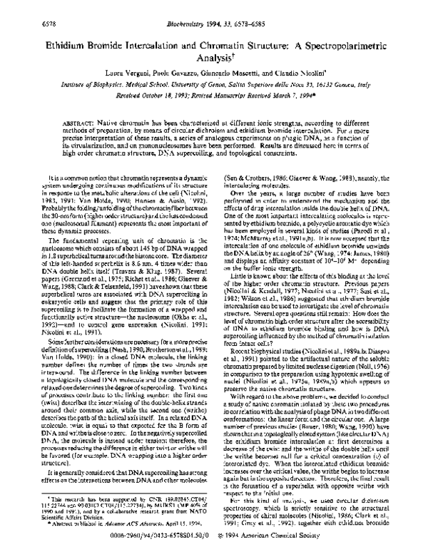 (PDF) Ethidium Bromide Intercalation and Chromatin Structure: A ...