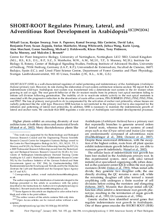 (PDF) SHORT-ROOT Regulates Primary, Lateral, and Adventitious Root ...