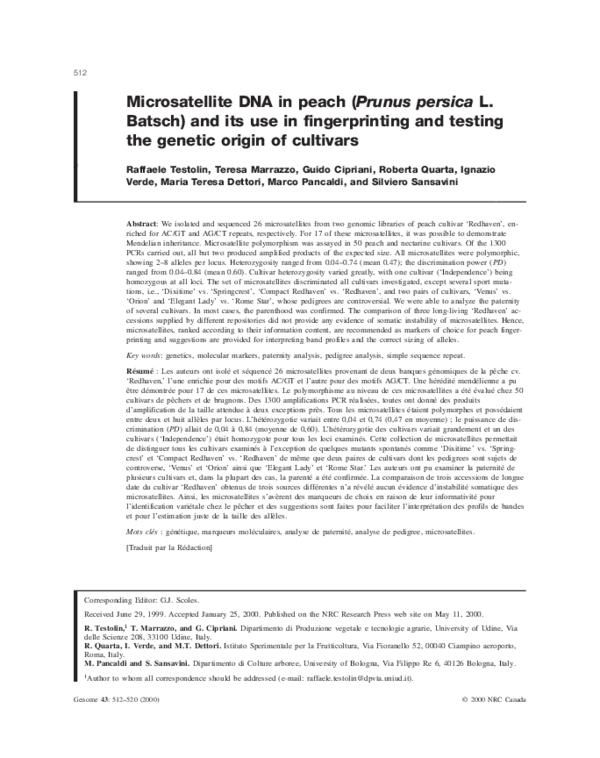 (PDF) Microsatellite DNA in peach ( Prunus persica L. Batsch) and its use in fingerprinting and ...