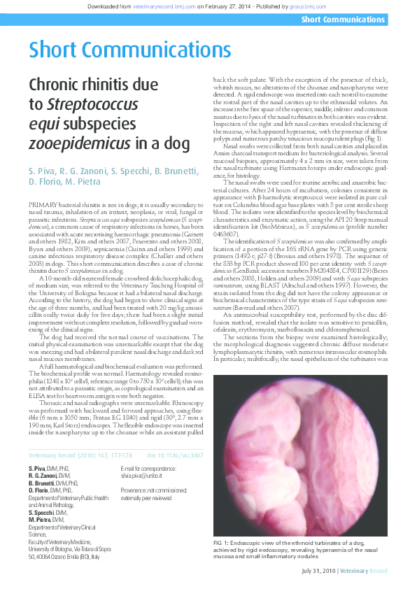 (PDF) Chronic rhinitis due to Streptococcus equi subspecies ...