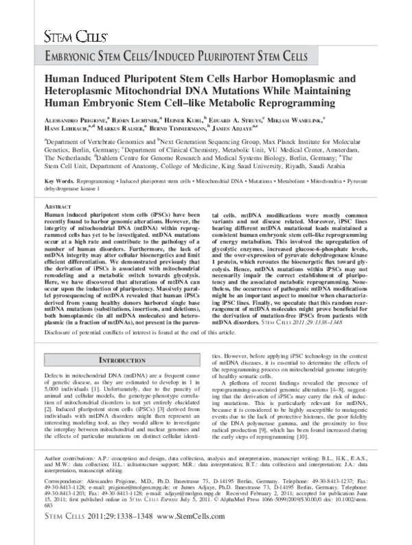 (PDF) Human Induced Pluripotent Stem Cells Harbor Homoplasmic and ...