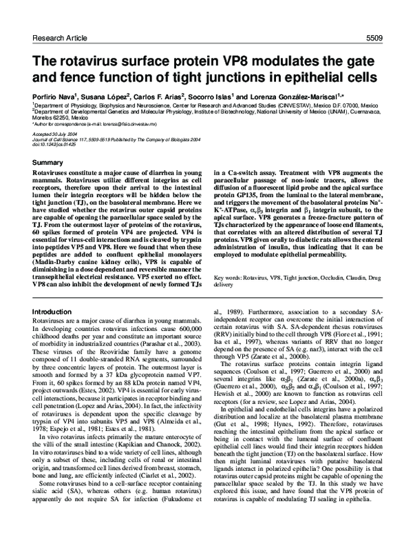(PDF) The rotavirus surface protein VP8 modulates the gate and fence ...