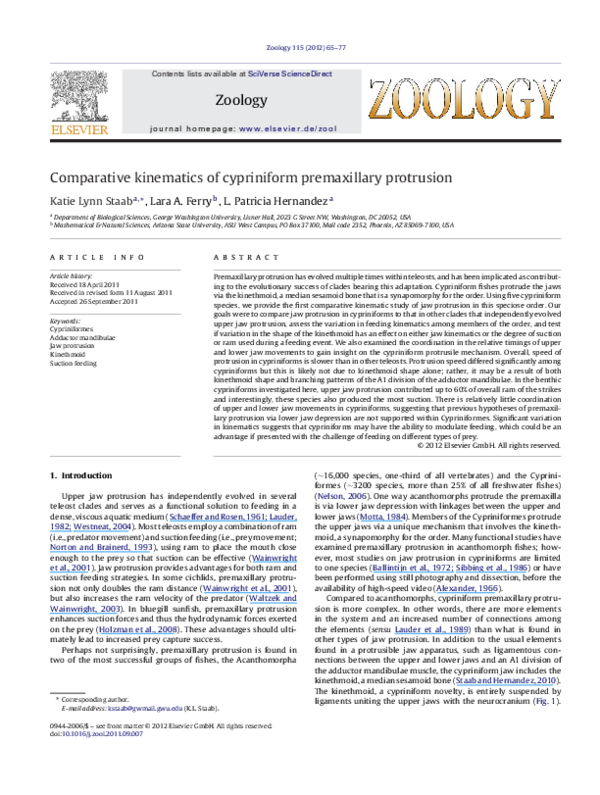 (PDF) Comparative kinematics of cypriniform premaxillary protrusion
