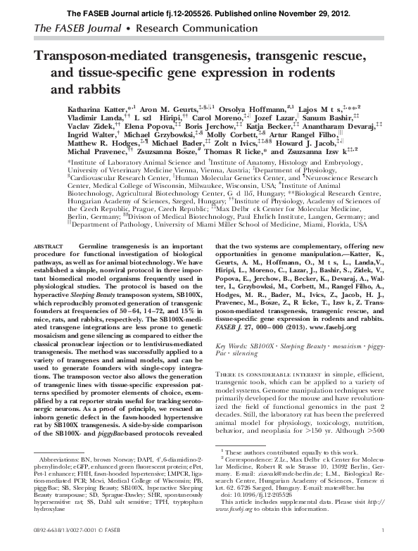 (PDF) Transposon-mediated transgenesis, transgenic rescue, and tissue ...
