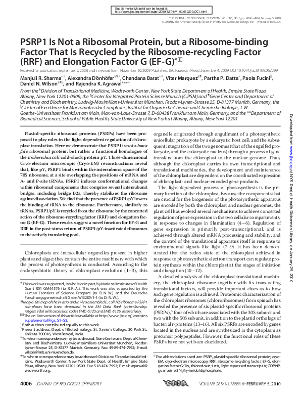 Pdf Psrp1 Is Not A Ribosomal Protein But A Ribosome Binding Factor That Is Recycled By The