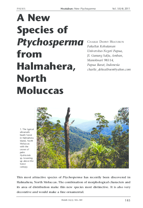 (PDF) A New Species of Ptychosperma from Halmahera, North Moluccas