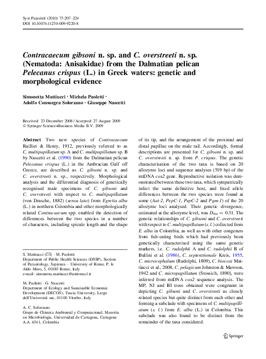 (PDF) Contracaecum gibsoni n. sp. and C. overstreeti n. sp. (Nematoda ...