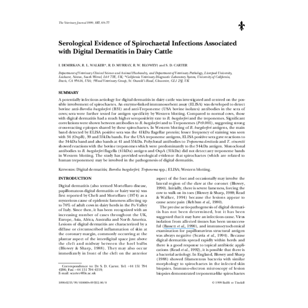 (PDF) Serological Evidence of Spirochaetal Infections Associated with ...