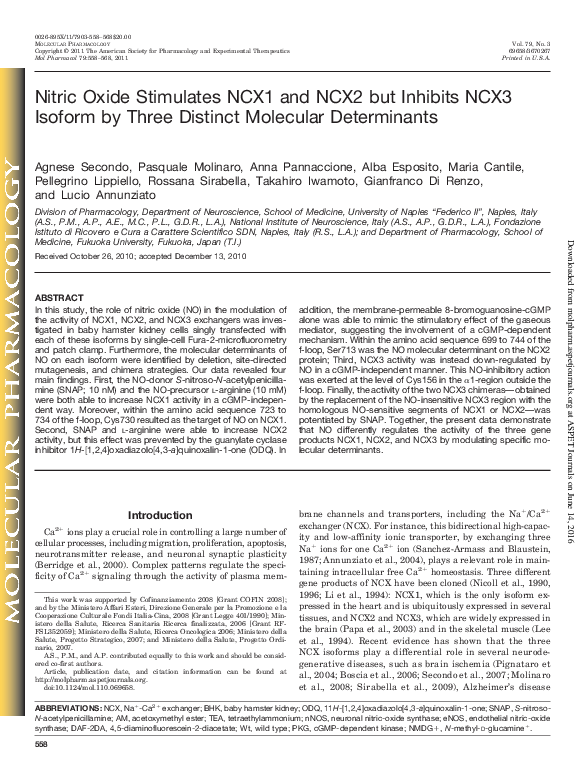 (PDF) Nitric Oxide Modulates NCX1, NCX2, and NCX3 Activities