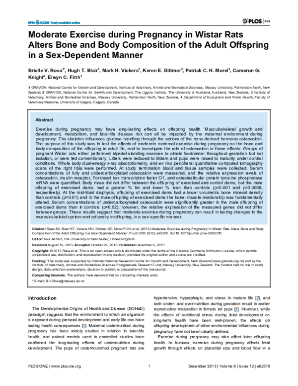 (PDF) Moderate Exercise during Pregnancy in Wistar Rats Alters Bone and ...